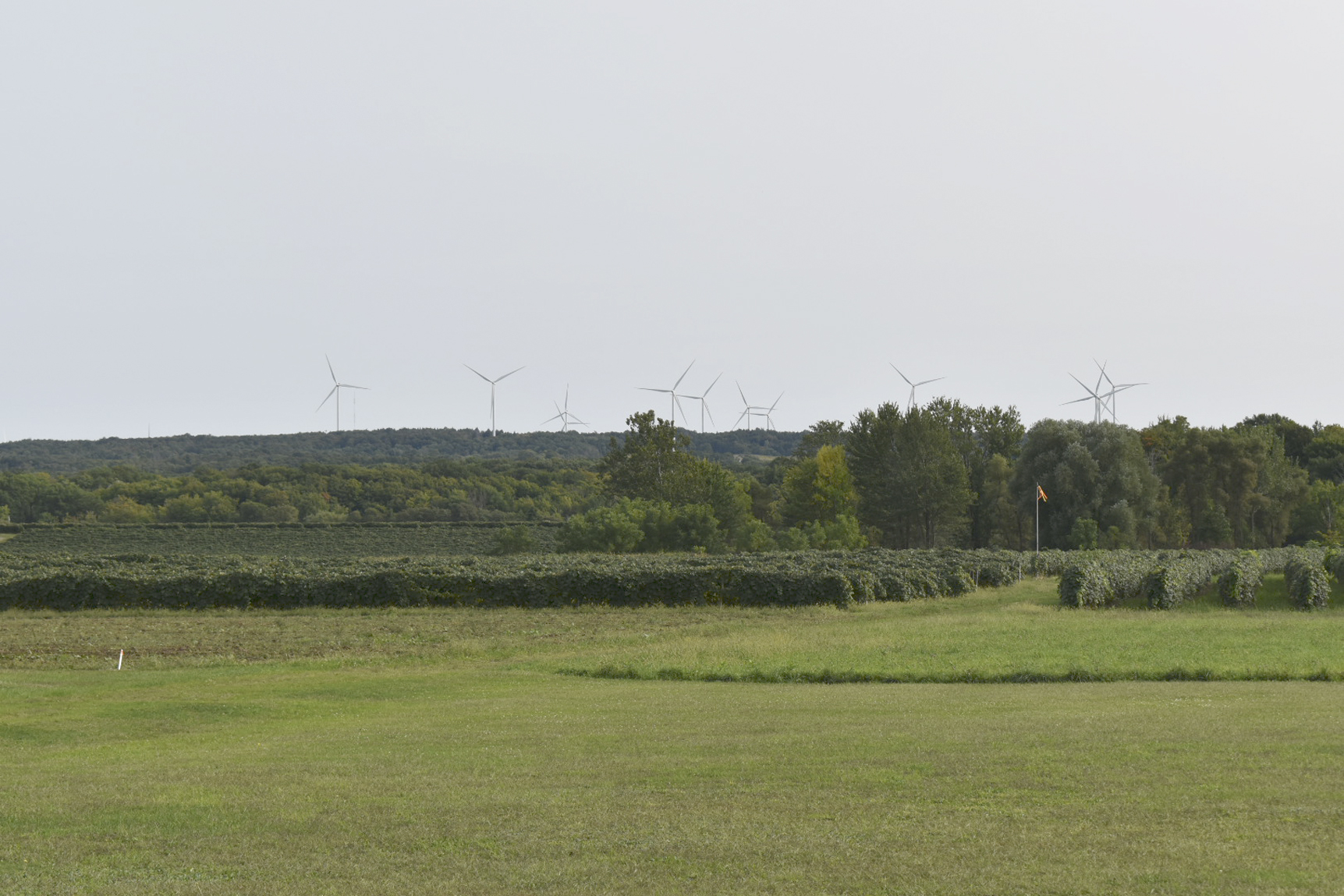 Documentary made about noise from local wind turbines | News, Sports ...